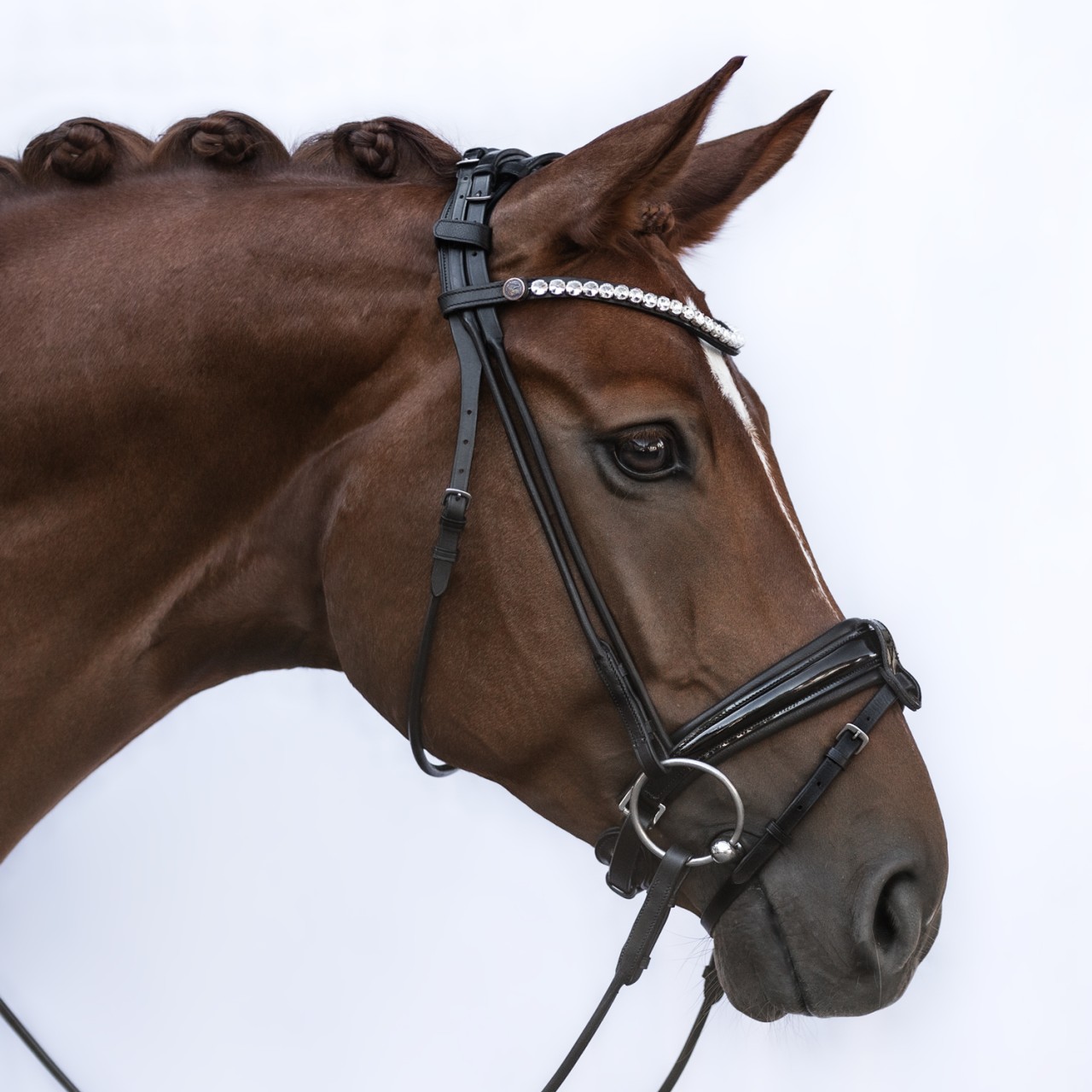 Anatomische Trensen mit garantiert perfekter Passform