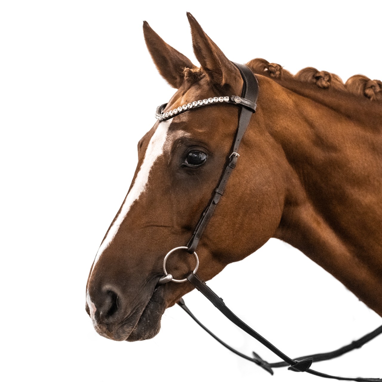 Anatomical bridles with a perfect fit