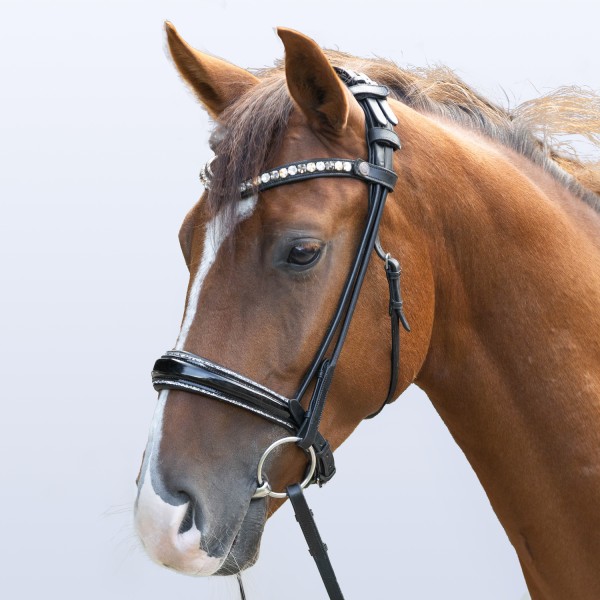 Design Your Bridle Classic